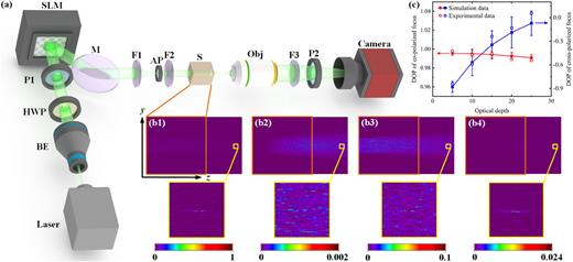 Vector angular spectrum model for light traveling in scattering media ...