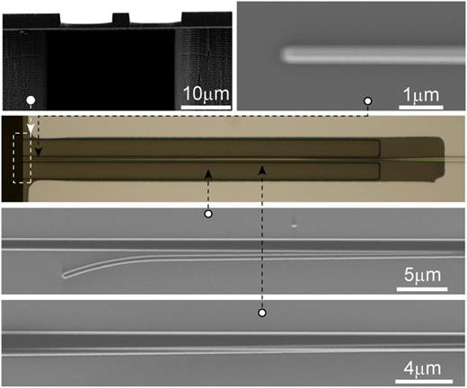 High-performance and fabrication-tolerant edge coupler on thin film ...