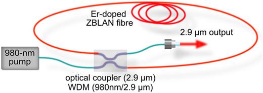Fluoride and chalcogenide glass fiber components for mid-infrared ...