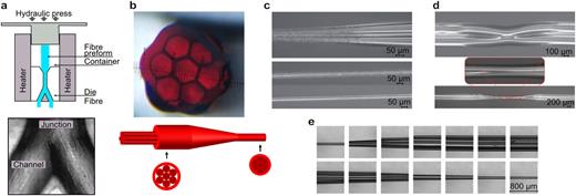 Fluoride and chalcogenide glass fiber components for mid-infrared ...