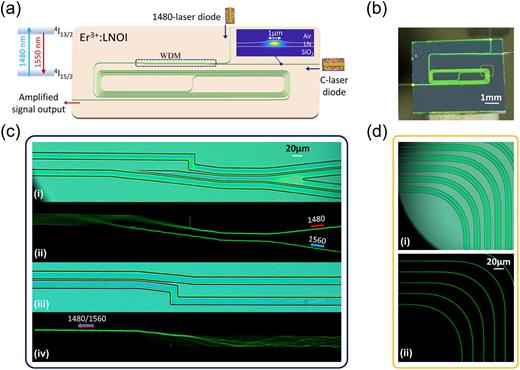 Suppression of parasitic lasing in erbium doped thin film lithium ...