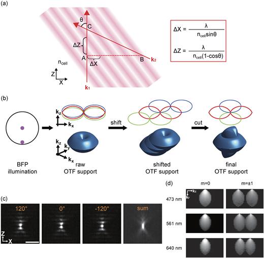 Fast axial resolution enhancement microscopy with structured ...
