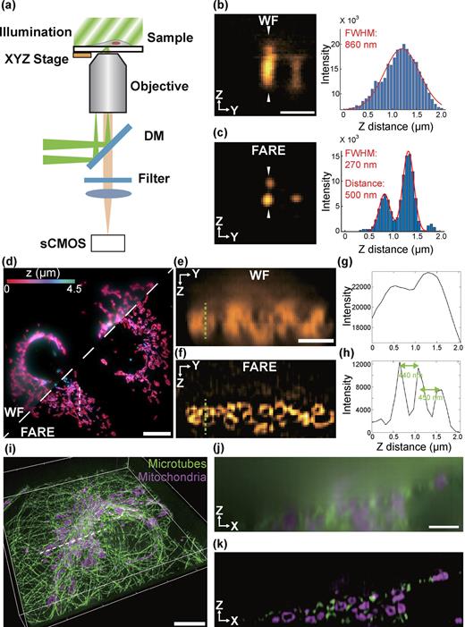 Fast axial resolution enhancement microscopy with structured ...