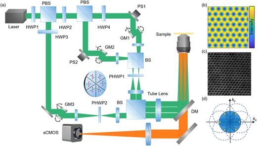 Single-frame structured illumination microscopy for fast live-cell ...
