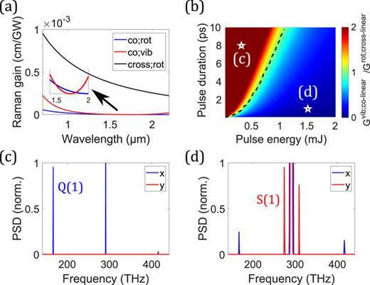 Unified and vector theory of Raman scattering in gas-filled hollow-core ...