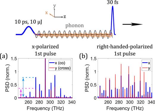 Unified and vector theory of Raman scattering in gas-filled hollow-core ...