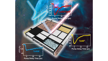 Dynamic large-array terahertz imaging display based on high-performance 1D/2D tellurium ...