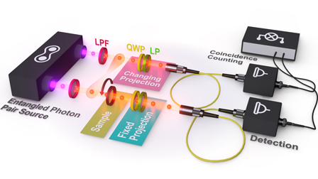 Nonlocal quantum differentiation between polarization objects using entanglement | APL Photonics ...