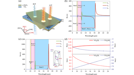 Tailoring intrinsic chiroptical responses via twisted bilayer α-MoO3 separated by a VO2 film ...