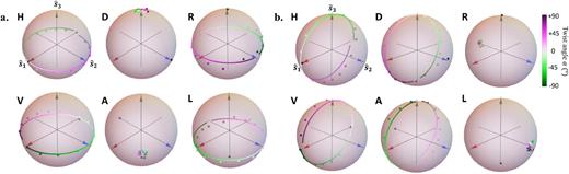 Spatially twisted liquid-crystal devices | APL Photonics | AIP Publishing