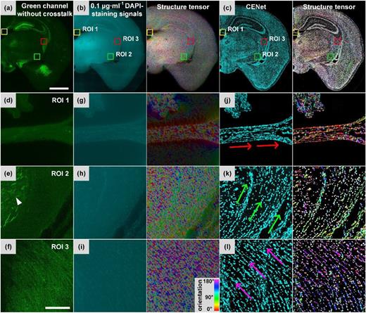 Unsupervised learning enables multicolor synchronous fluorescence ...