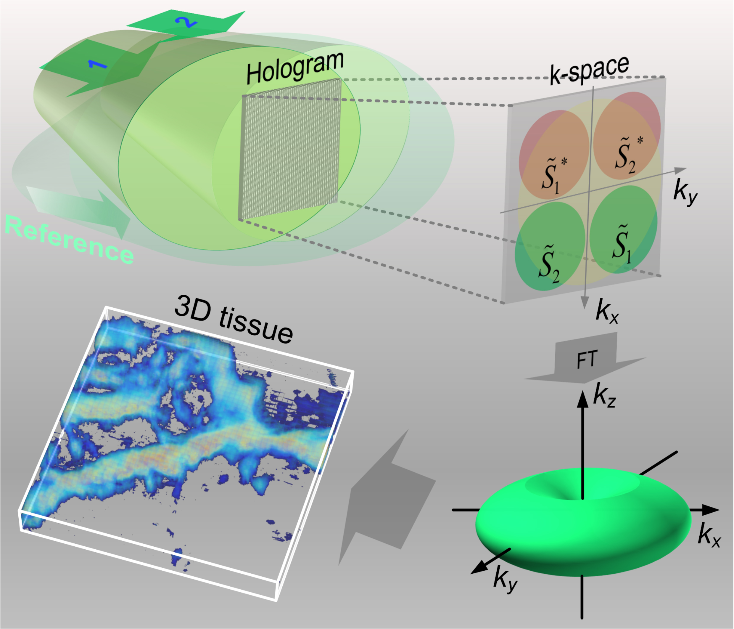 Volume 9 Issue 5 | APL Photonics | AIP Publishing