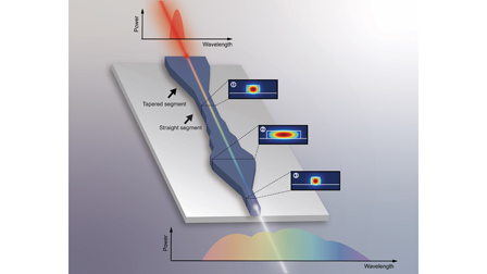 Inverse design of coherent supercontinuum generation using free-form ...