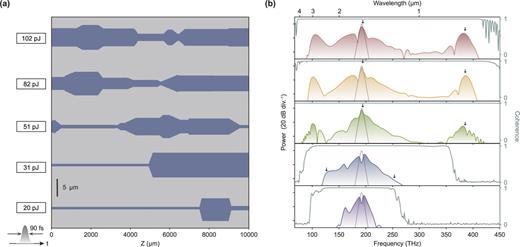 Inverse design of coherent supercontinuum generation using free-form ...