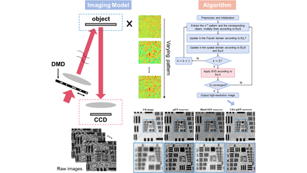 Toward robust super-resolution imaging: A low-rank approximation ...