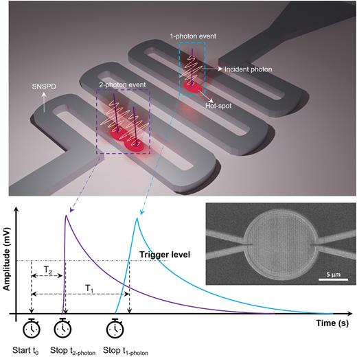 High-performance photon number resolving detectors for 850–950 nm ...