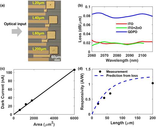 A silicon photonics waveguide-coupled colloidal quantum dot photodiode ...