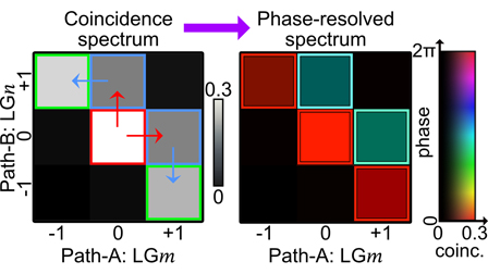 Phase-resolved measurement of entangled states via common-path ...