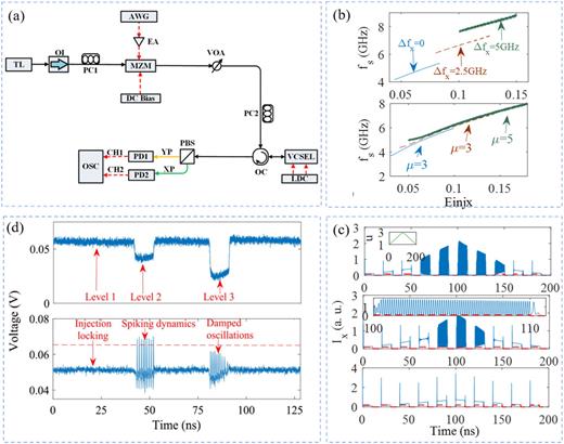 Semiconductor lasers for photonic neuromorphic computing and photonic ...