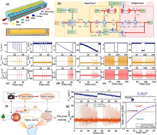 Semiconductor lasers for photonic neuromorphic computing and photonic spiking neural networks: A ...