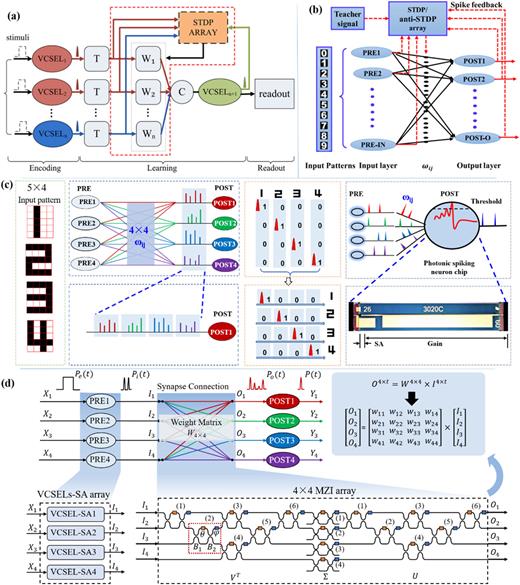 Semiconductor lasers for photonic neuromorphic computing and photonic spiking neural networks: A ...