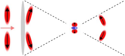Space–time characterization of ultrashort laser pulses: A perspective ...