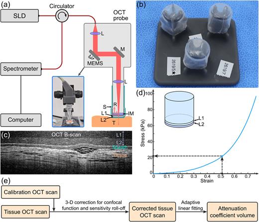 Load-dependent optical coherence tomography attenuation imaging: How ...