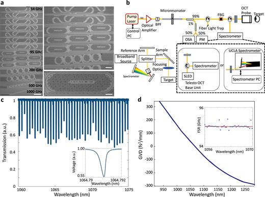 Optical coherence tomography imaging and noise characterization based ...