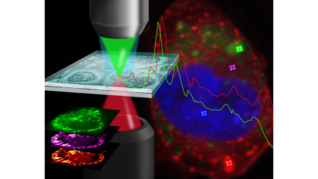 A tutorial on optical photothermal infrared (O-PTIR) microscopy | APL ...