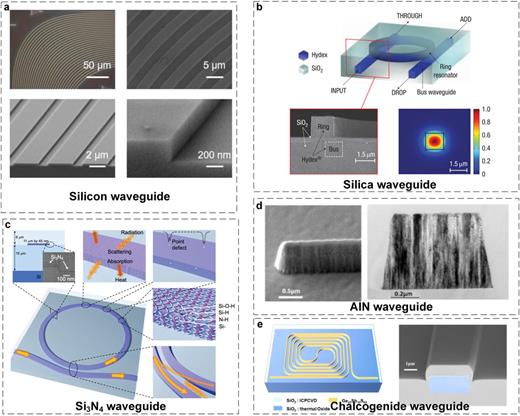 What can be integrated on the silicon photonics platform and how? | APL ...