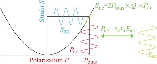 Electrostrictive effect in ferroelectrics: An alternative approach to ...