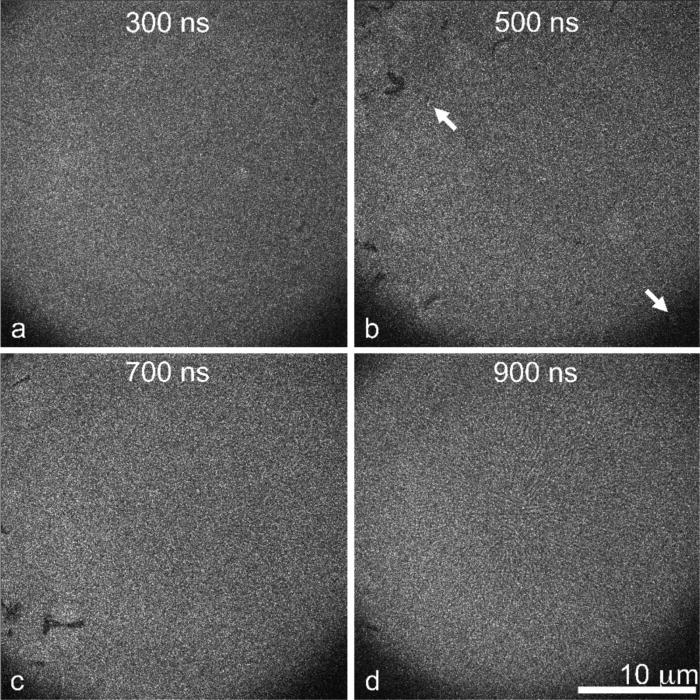 Time resolved electron microscopy for in situ experiments | Applied ...