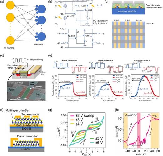 Ferroelectric field effect transistors for electronics and ...