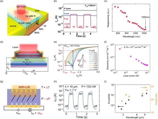 Ferroelectric field effect transistors for electronics and ...