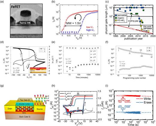 Ferroelectric field effect transistors for electronics and ...