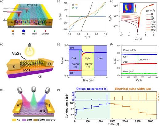 Ferroelectric field effect transistors for electronics and ...