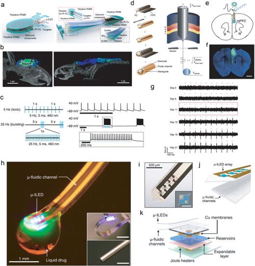 Flexible and smart electronics for single-cell resolved brain–machine ...