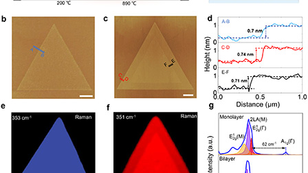 Ultrashort channel chemical vapor deposited bilayer WS2 field-effect ...