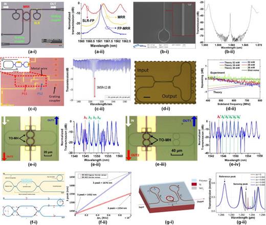Sagnac interference in integrated photonics | Applied Physics Reviews ...