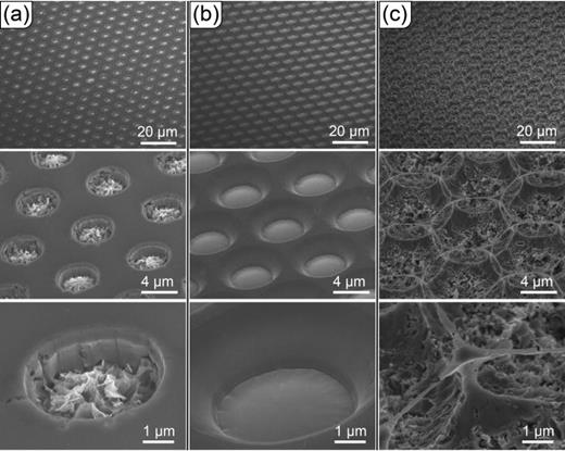 Programmable vapor-phase metal-assisted chemical etching for versatile ...