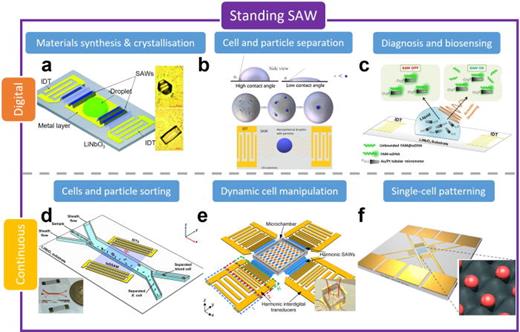 Methodologies, technologies, and strategies for acoustic streaming ...