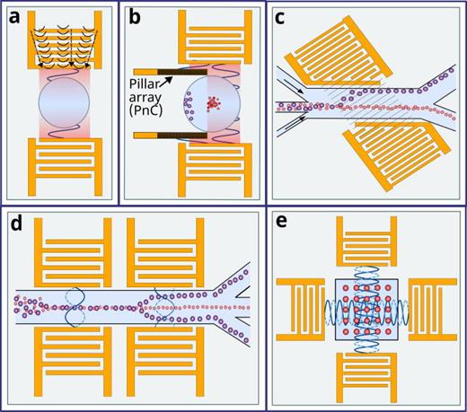Methodologies, technologies, and strategies for acoustic streaming ...