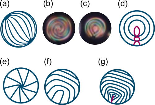 Textural landscapes of VOC-sensitive chiral liquid crystal-based ...