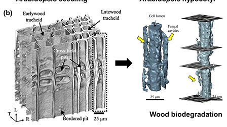 Volume 10 Issue 2 | Applied Physics Reviews | AIP Publishing