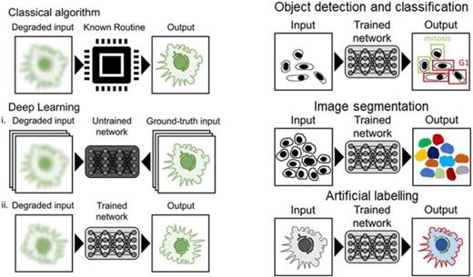 From micro- to nano- and time-resolved x-ray computed tomography: Bio-based applications ...