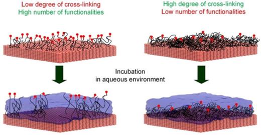 Plasma surface functionalization: A comprehensive review of advances in ...
