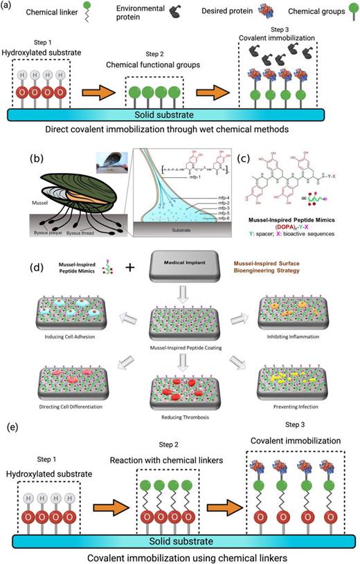 Plasma surface functionalization: A comprehensive review of advances in ...
