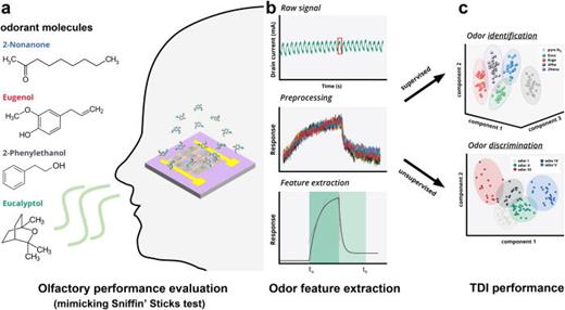 Machine learning-enabled graphene-based electronic olfaction sensors and their olfactory ...