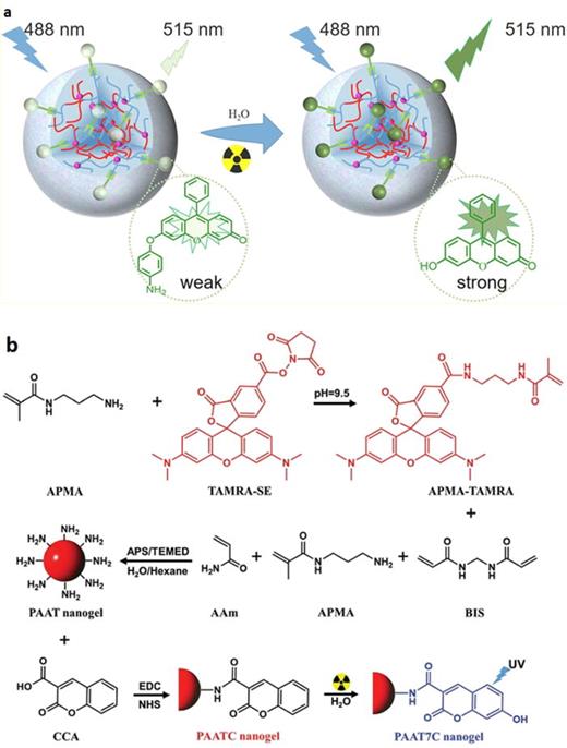 Review of nanomaterial advances for ionizing radiation dosimetry ...