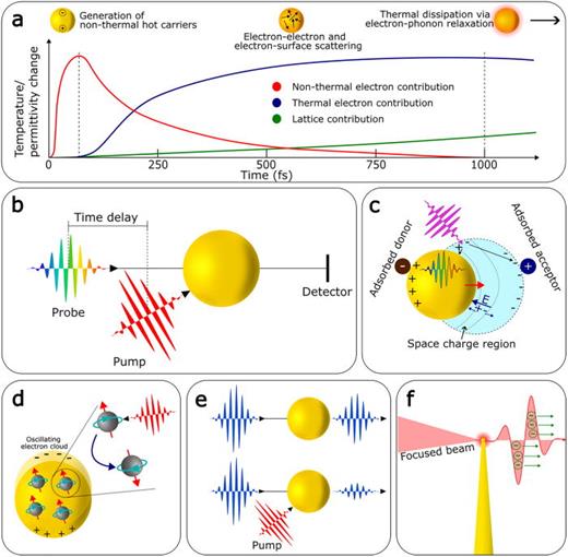 Advances in ultrafast plasmonics | Applied Physics Reviews | AIP Publishing
